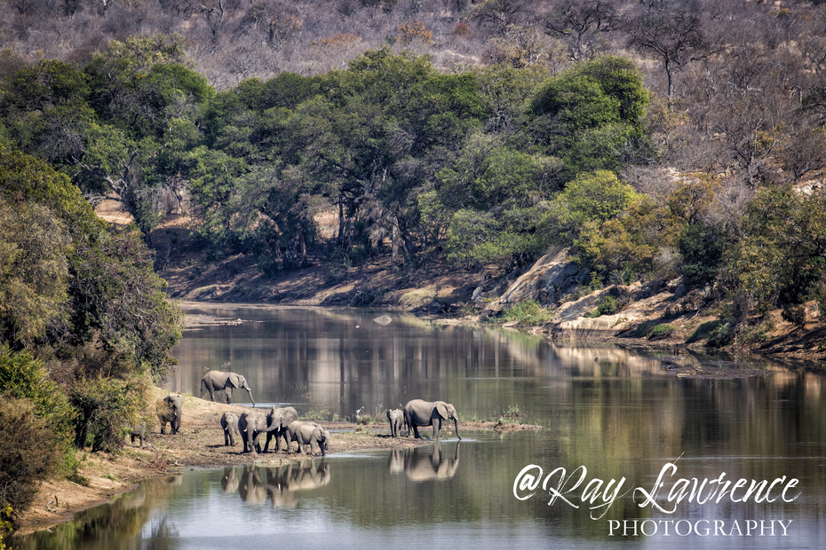 Ray Lawrence's website